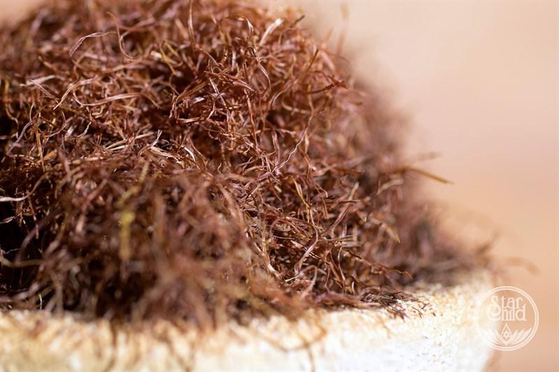 CORNSILK ORGANIC | Star Child