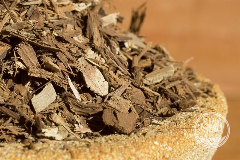 Jamaican Dogwood Bark | Dried Herbs, Roots & Barks | Star Child