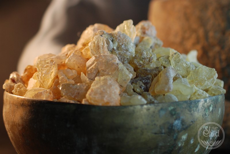Copal Sacred Herb | Herbs, Gums & Resins | Star Child