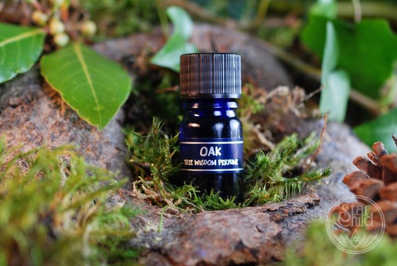 OAK TREE PERFUME | Star Child