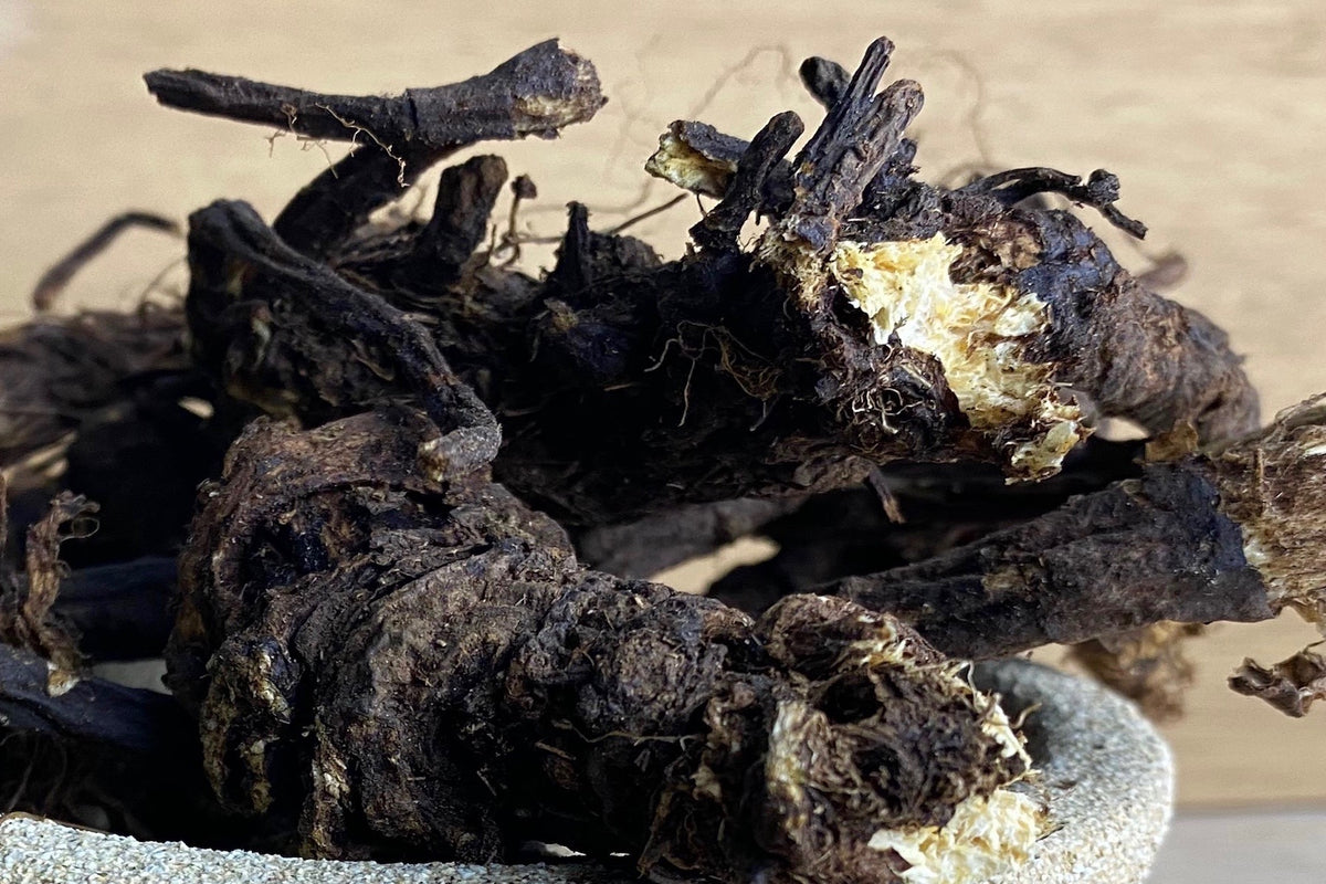 OSHA ROOT | Star Child